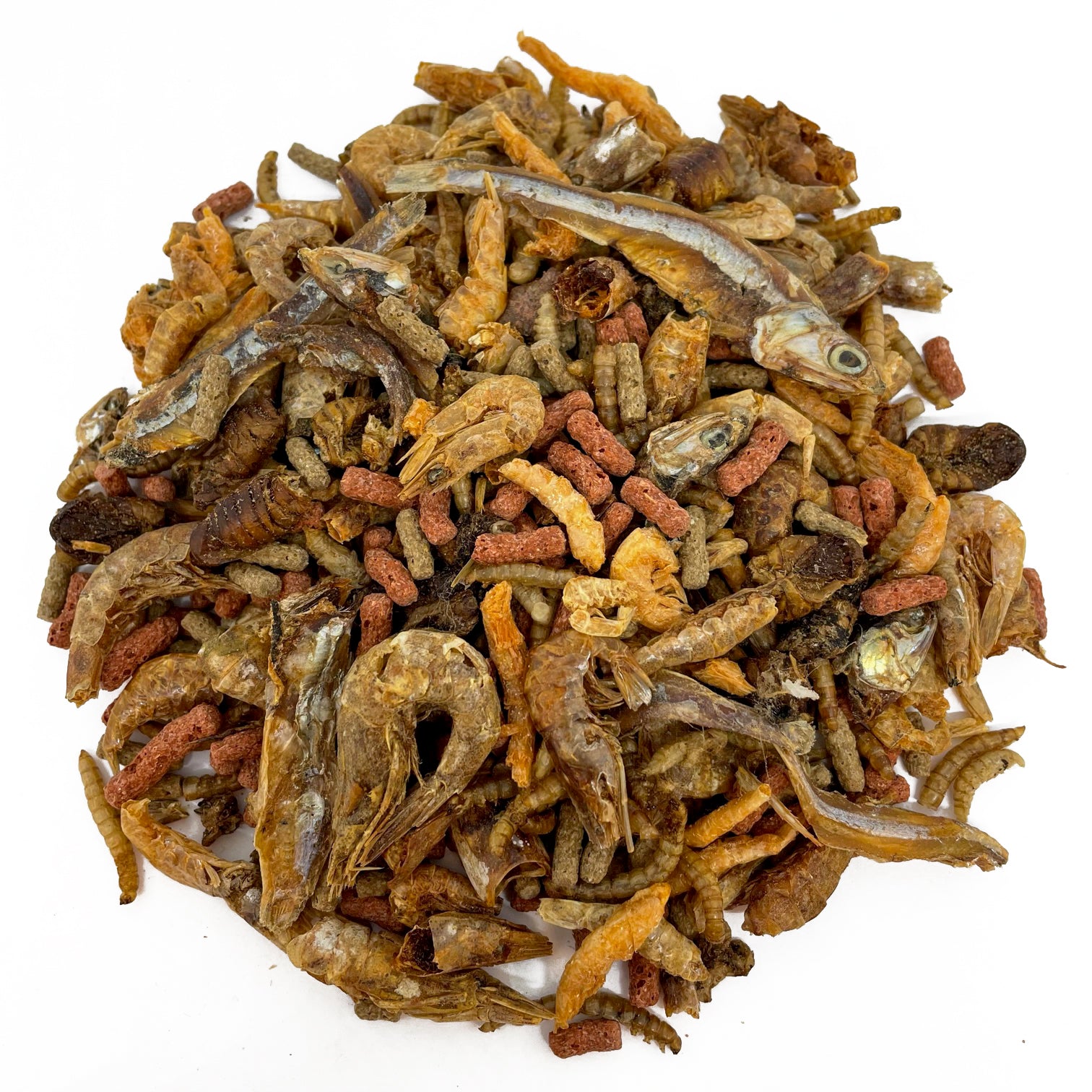 Complete Turtle & Terrapin Food Mix – Natures Grub Bulk